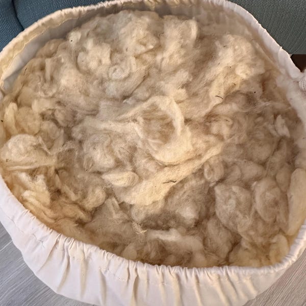 Organic Wool Stuffing / GOTS Certified / Perfect for Filling Pillows ...