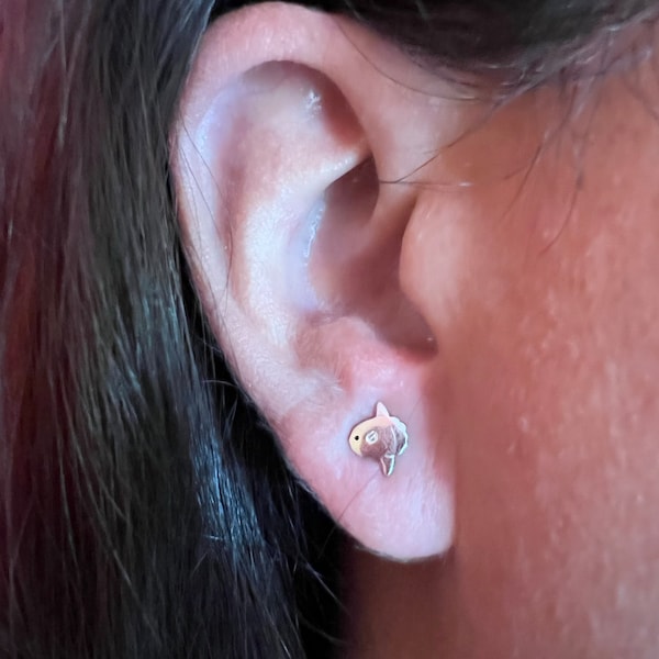 Ocean Sunfish Fish Stud Earrings in Sterling Silver, Cute Sun Fish ...