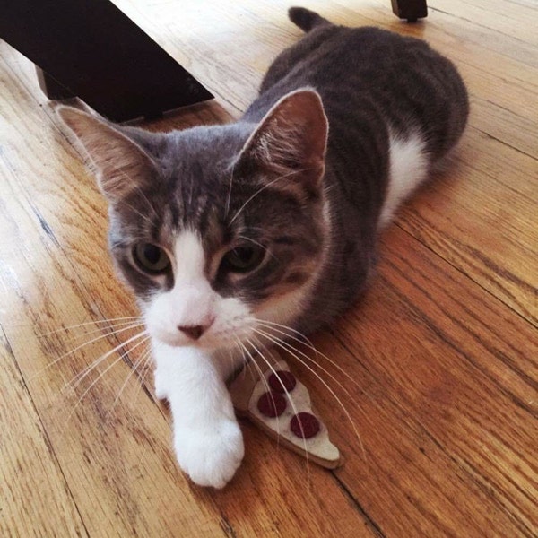 Catnip Pizza Cat Toy - Etsy