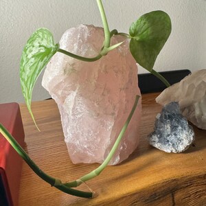 Selenite Crystal Crystal Lamp, Selenite Lamp, Table Lamp, Crystal Shop ...