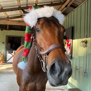 Crusader Horse Chanfron Face Armor Medieval Equine Armor | Etsy