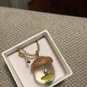 Acorn Mushroom Frog Terrarium Necklace, Goblincore Necklace With Moss ...