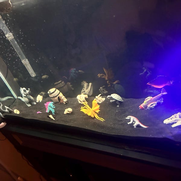 Jurassic Park Fish Decorations - Etsy