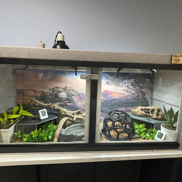 Slate Cave Bottomless Hide 10x10x4 for Fish, Snake, Reptile, Turtle ...