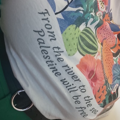 Watermelon T-shirt Fruit Graphic Shirt, Watermelon Tee, Watermelon ...