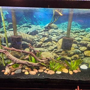 Bags of 2, Natural Smooth River Rocks for Painting, Aquariums ...