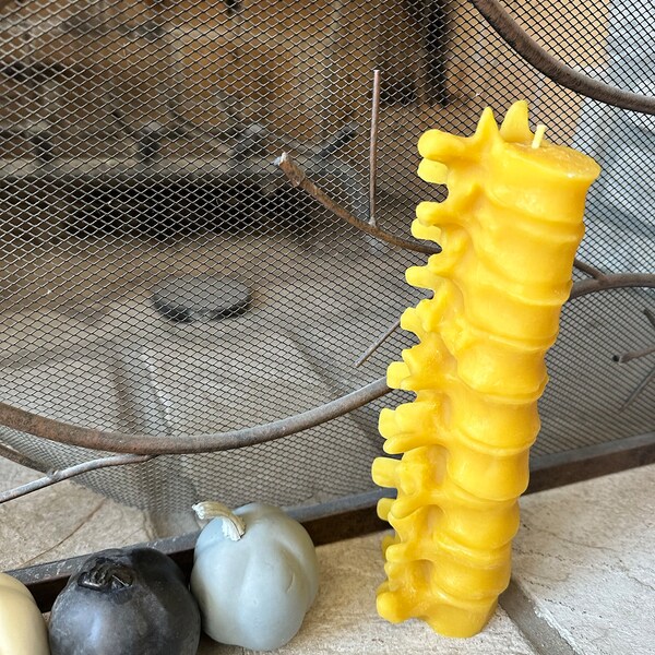 Large Human Spine Candle, Spooky Beeswax Halloween Candle - Etsy