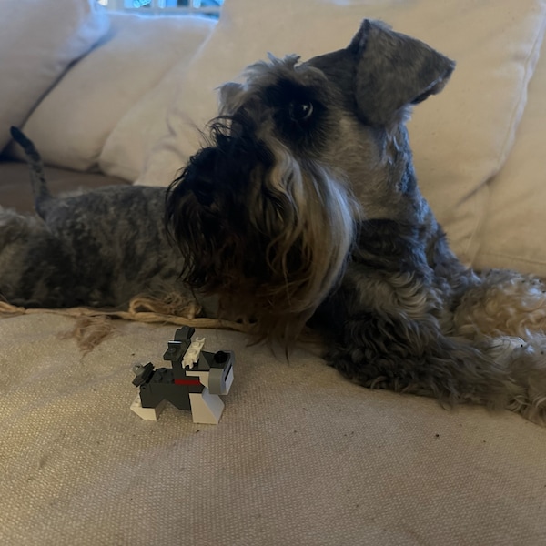 Customisable Lego Miniature Schnauzer - Etsy