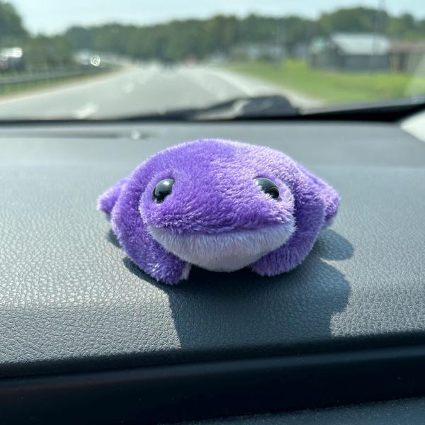 Choose Your Color Combo Frog Plush// Pocket Frog Plushie// Bean Bag ...