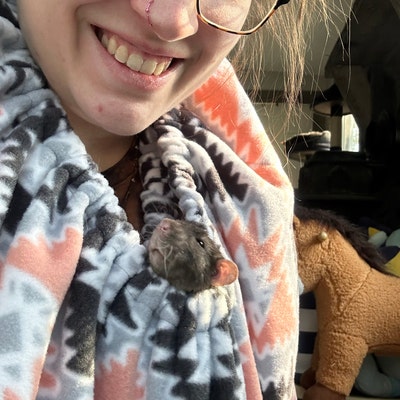 Ratoob, Dark Gray - Etsy