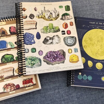 The Olive Tree A5 Journal, Elegant Matte Hardcover, Lined Pages for ...