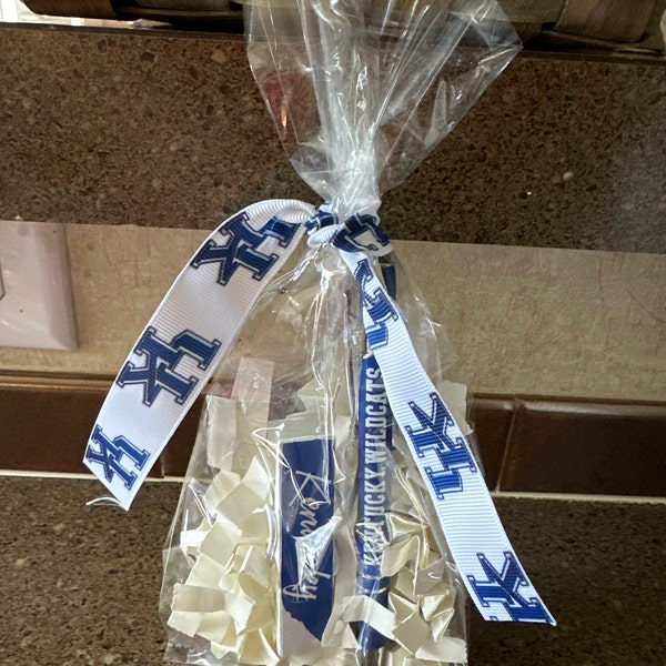 Spring Flowers Chip Snack Clips Set/3 - Etsy