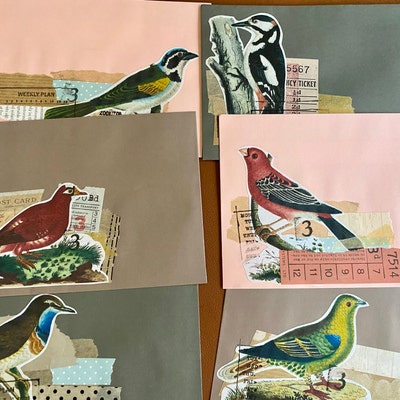 Set of Five Owl Envelopes Print From a Series of Bird Theme - Etsy