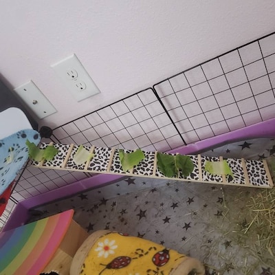 Guinea Pig Cage Ramp, Small Animal Ramp, Guinea Pig Ramps, Pet Ramps ...