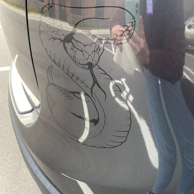 Snake Coiled Striking Vinyl Window Decal BS064 - Etsy