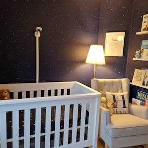 Frank Zappa Portrait Stencil Painting Stencil for Walls - Etsy