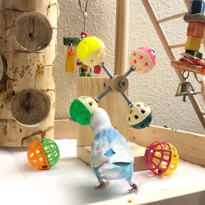 Rotating Bird Toy With Bell, Budgie Toy, Parakeet Toy, Parrot Toy ...