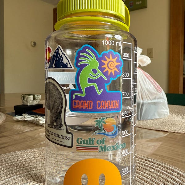 I Won't Be Silenced Button, Protest Button, Pro Choice Button, Student ...