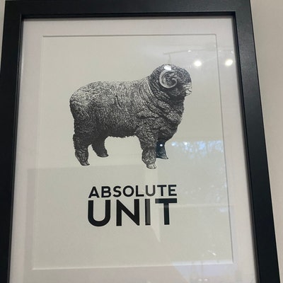 Absolute Unit, Sheep Print, Funny Wall Art, Absolute Unit Print ...