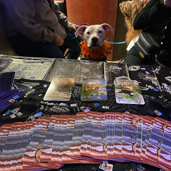 Magical Dogs Tarot Kit Card Deck & Guidebook Set Cat Oracle Cards and ...