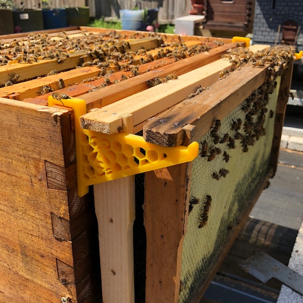 Langstroth Hive 2 Frame Holder | Beehive Inspection Hook | Portable ...