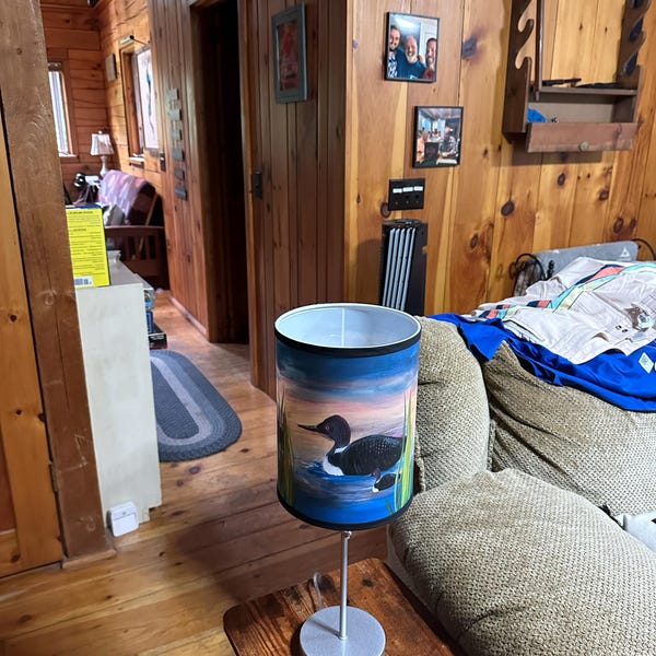 Sand Dollar Sea Shell Coastal Design Indoor Area Rugs of My Art. - Etsy