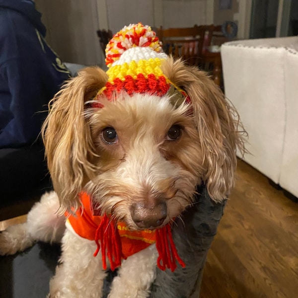 Dog Sun Hat - Easter Dog Beanie - Crochet Easter Dog Hat - Crochet ...