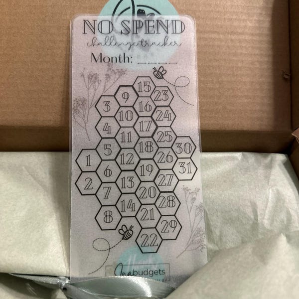 No Spend Tracker Glossy/matte Laminated Vellum Budgeting Tools Cash ...