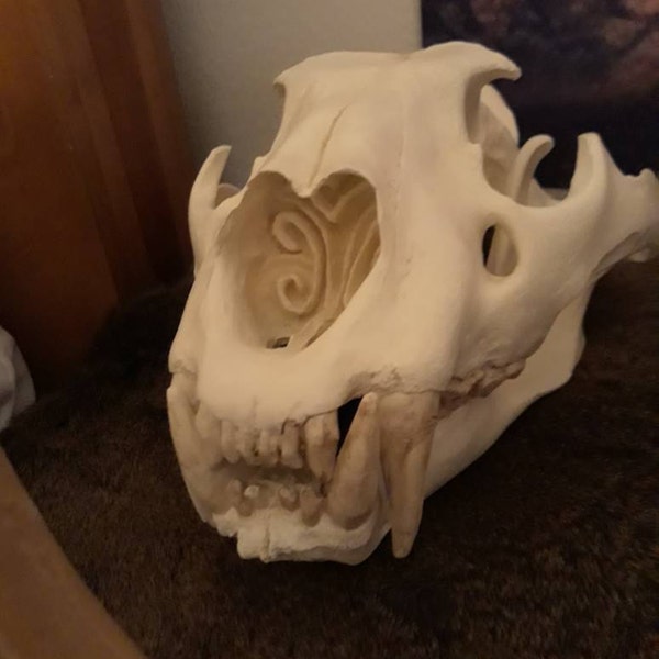 Large Male AFRICAN LION SKULL Replica Taxidermy Home Decor Interior ...