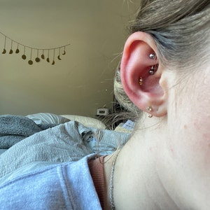 ASTM F136 Titanium Conch Hoop Four Layer Stacked Conch | Etsy