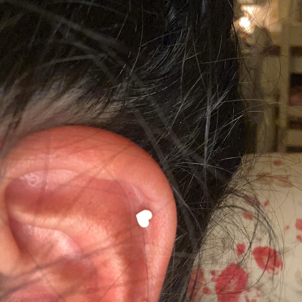 14k Yellow Gold Hoop Earrings 12-50x2.0mm, Piercing to Lobe, Upper-lobe ...