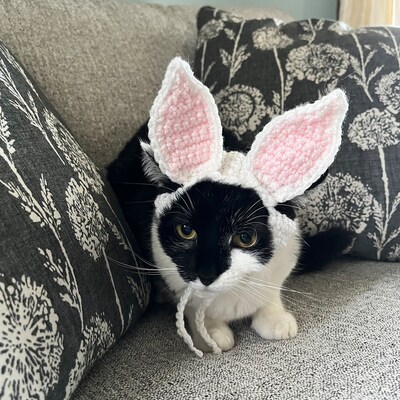 Bunny Rabbit Ear Hat for Cats - Etsy