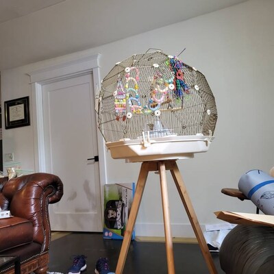 17x6cm Colorful Acrylic Parrot Window Bird Wooden Perch Stickers Stand ...