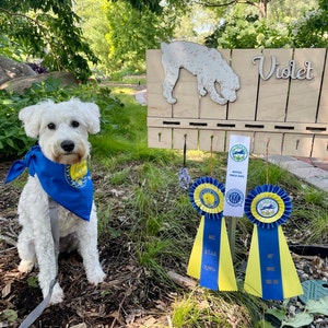 Set of 12 Paw Print Snowflakes, Handmade Snowflake Ornament, Wood Pet ...