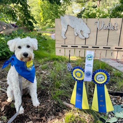 Wood Wall Decor, Camping Signs, Camping Decor, R-pod Forest River ...