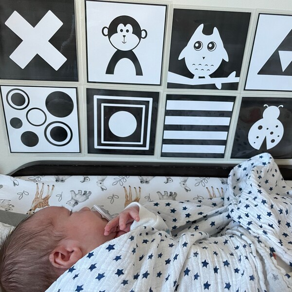 Printable PDF Newborn Baby Sensory Flashcardsx25, Black & White, for 0 ...