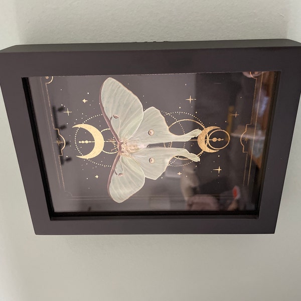 Framed Luna Moth Shadow Box: Gold Star Tarot Print Gothic Wall Decor - Etsy