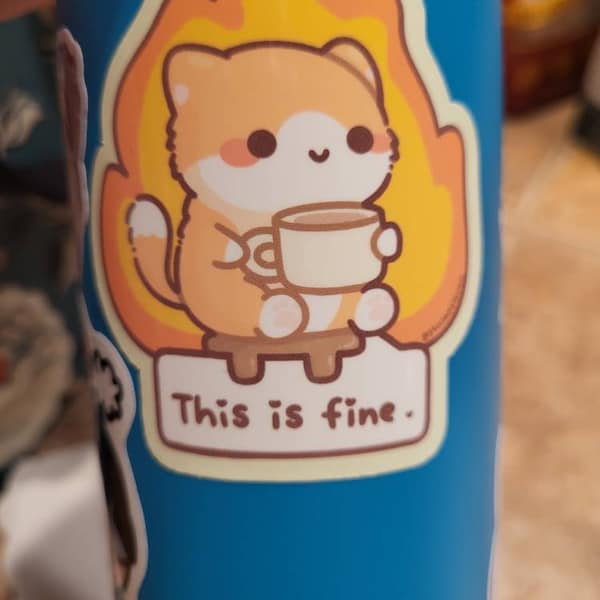 Please Handle With Love FRAGILE Sticker | Cat Meme Stickers | Kawaii ...