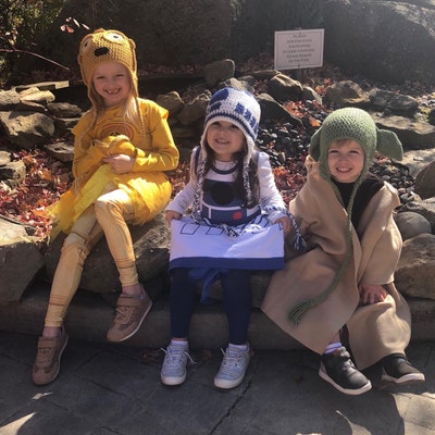 Princess Swoop Bangs With Braids Crochet Frozen Elsa Anna Repunzel Leia ...