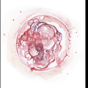 Custom Embryo Watercolor Commission an Original Painting of Your Embryo ...