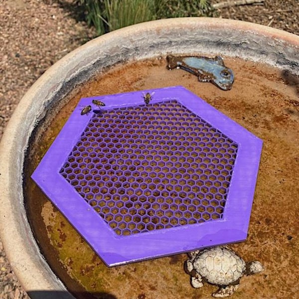 Monarch Butterfly Raising Kit- Butterfly Raising Kit, Milkweed Floral ...