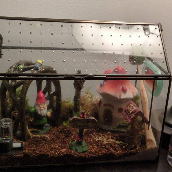 Watertight Curved Glass Terrarium With Grow Lamp for Tropical Bog ...