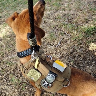 STINKY POOP Morale Patch - Etsy