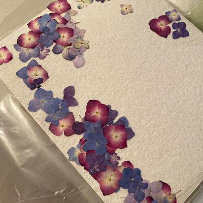 Pressed Flower Bookmarks Pansy Gifts Book Accessories Pansy - Etsy