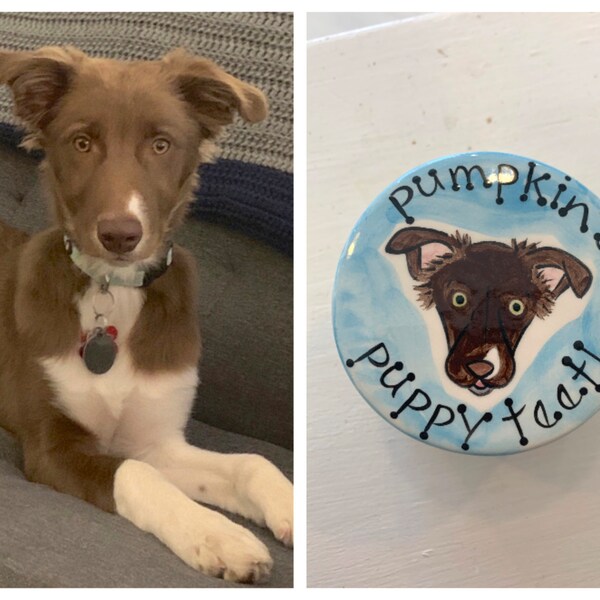 New Puppy Tooth Box / Puppy Teeth Box / Custom Pet Gift / Personalized ...