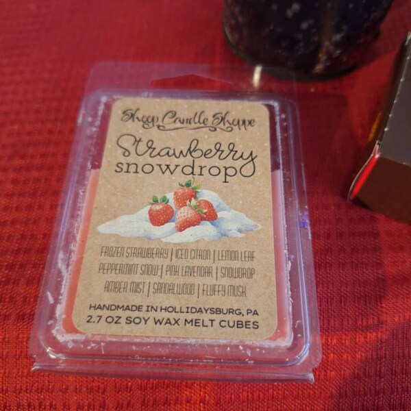 Hanging Scent Diffusers Herbal and Earthy - Etsy