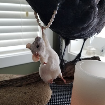 Hanging Mouse - Etsy UK