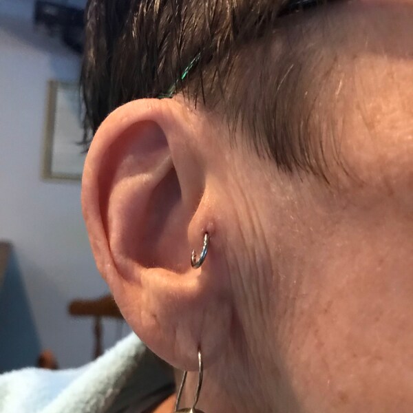 16G Hoop, Cartilage Hoop, Surgical Steel Clicker, Seamless Hoop Earring ...