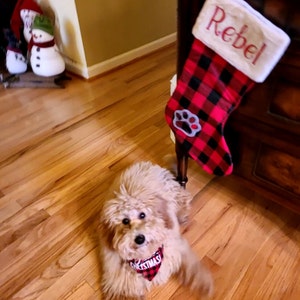 Stocking Rush Fee | Etsy