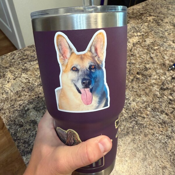 Your Did It 3D Printed Meme Trophy - Etsy